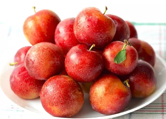 American Cherry Plum Hybrids Build a Bright Future in China | Produce ...