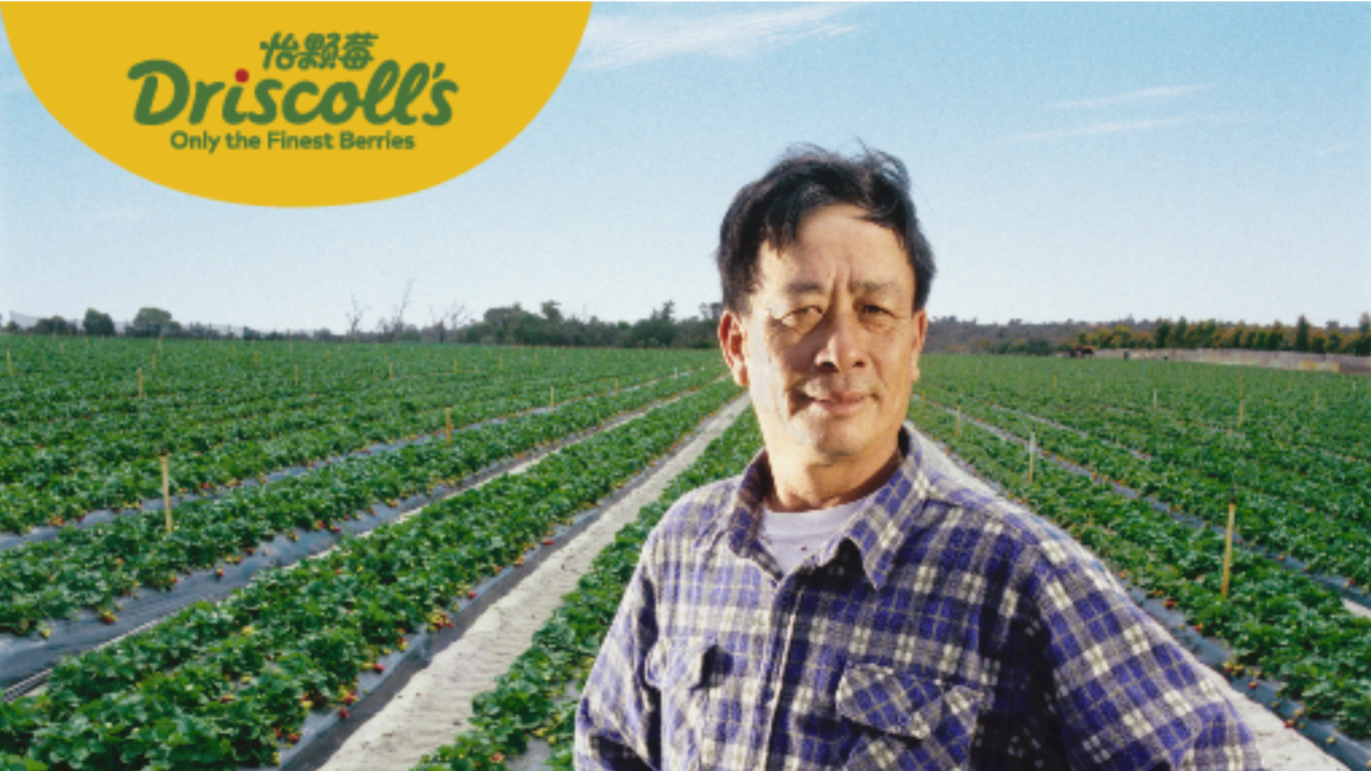 Driscoll’s Celebrates 10th Anniversary in China With Ambitious Future ...