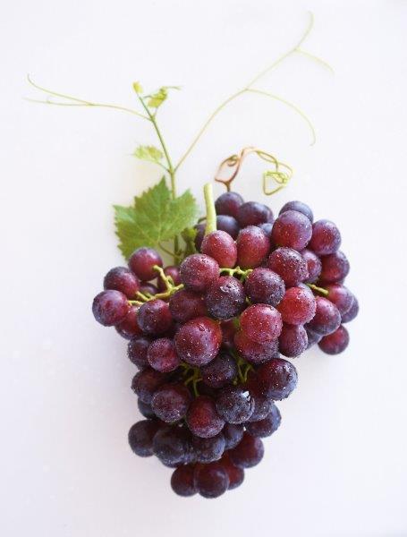 Bells of joy ring over new SA table grape variety launched in Berlin ...
