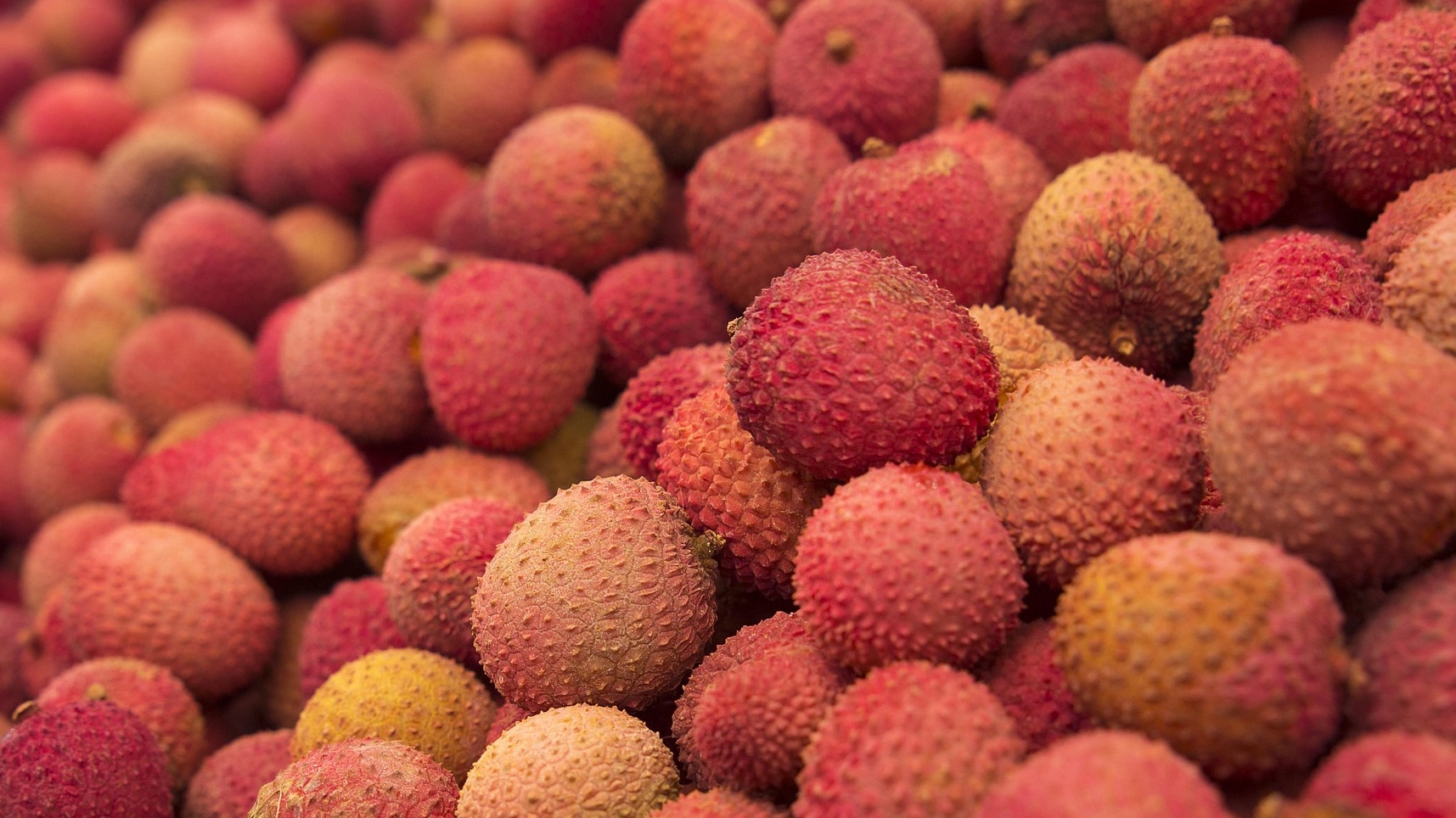 Bac Ninh Lychee Prices at Record Highs as China Imports Hit 18,000 Tons ...