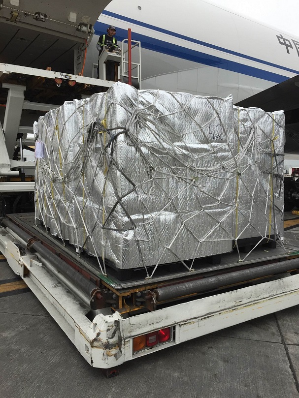 Air China Cargo Completes Cherry Charter’s Maiden Voyage | Produce Report