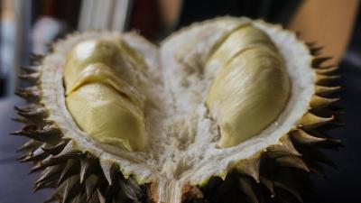 Produce Report | Global Fresh Fruit and Produce News