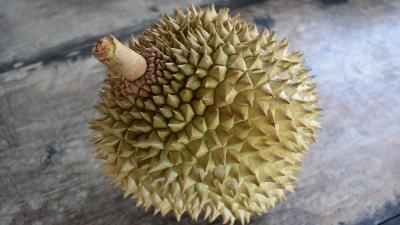 Produce Report | Global Fresh Fruit and Produce News